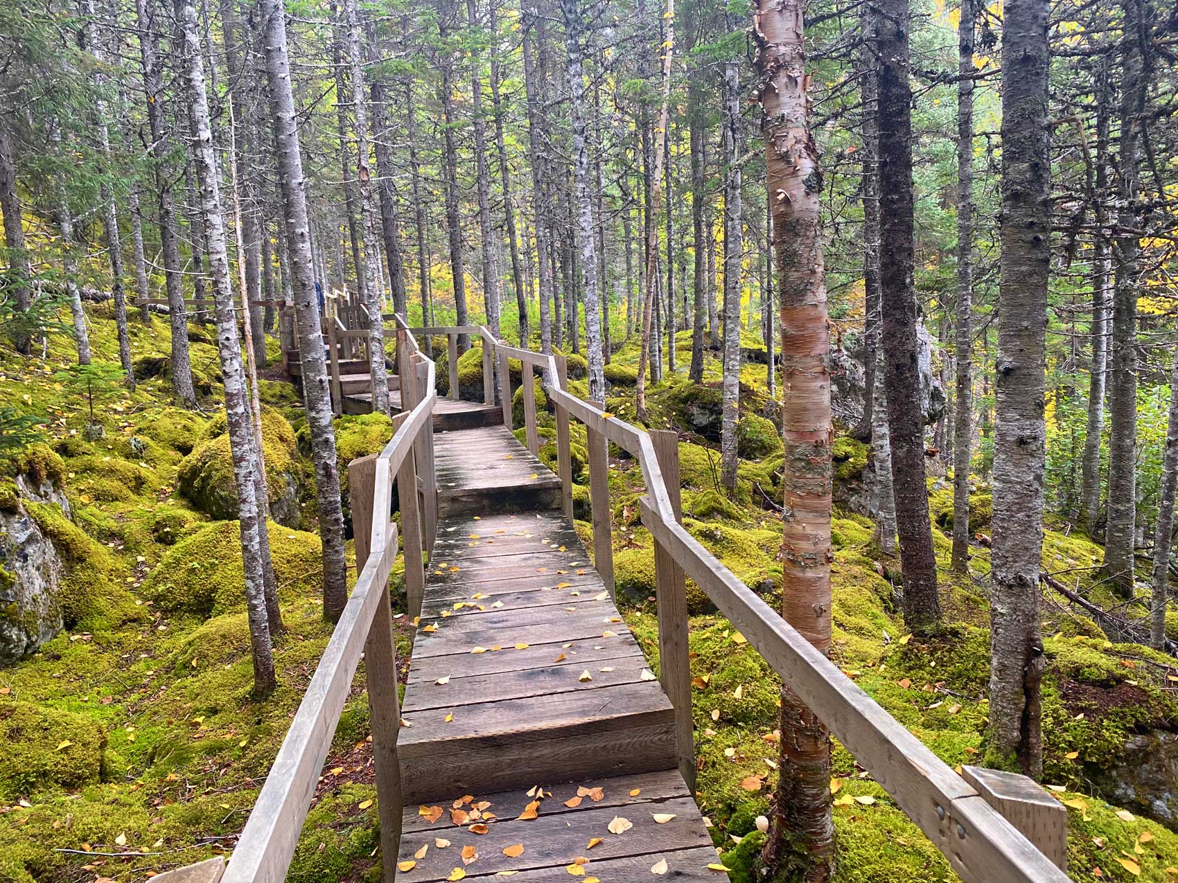 Alexander Murray Trail - Indian Falls Chalets