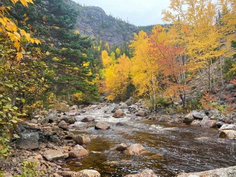 Alexander Murray Trail - Indian Falls Chalets